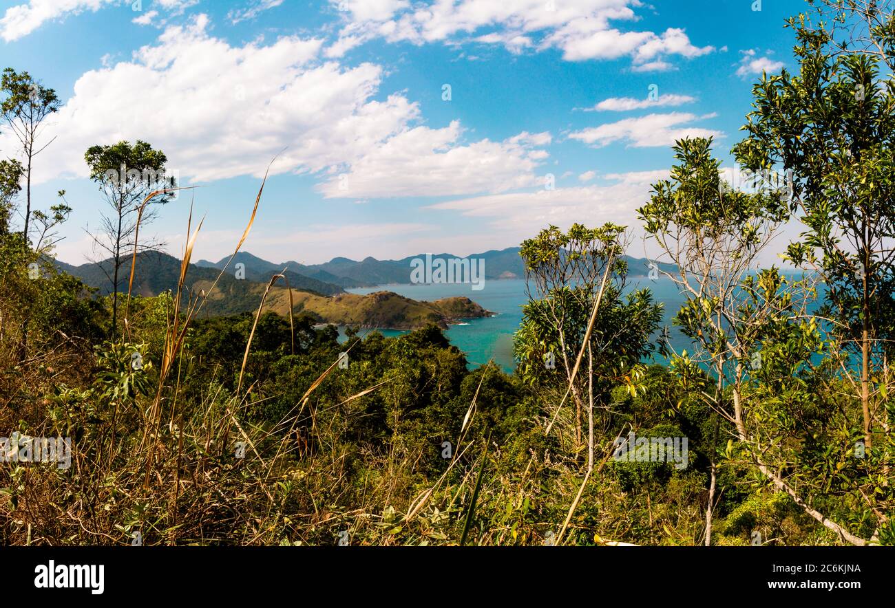 Atlantic forest and sao paulo hi-res stock photography and images - Alamy