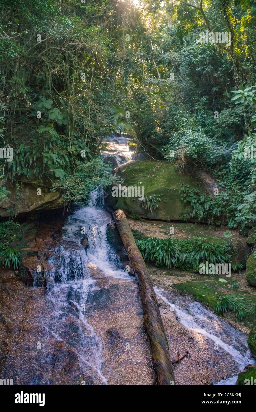 Waterfall in the Brazilian Atlantic Forest in Ilhabela, São Paulo State ...