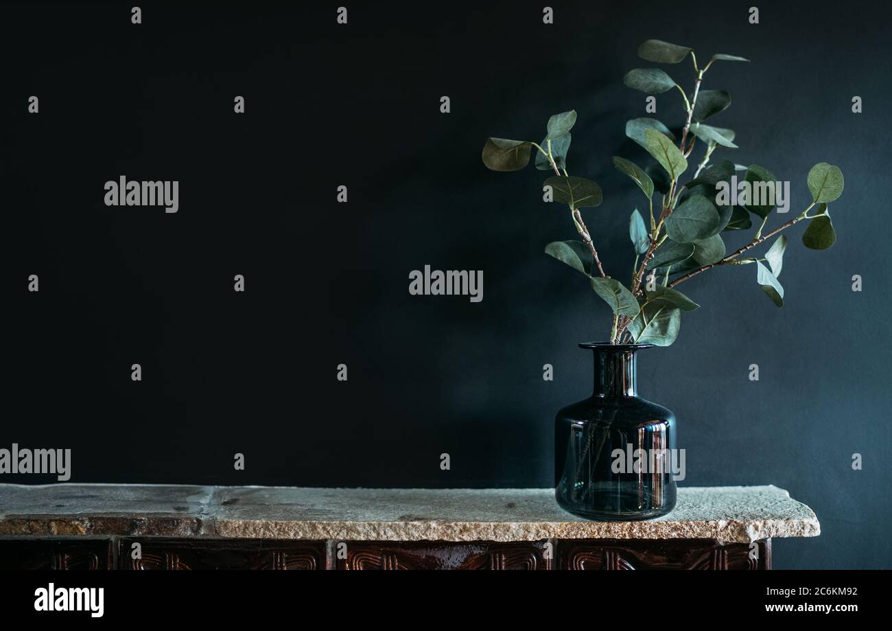 Green tree Branch putted into black glass vase on the natural stone ...