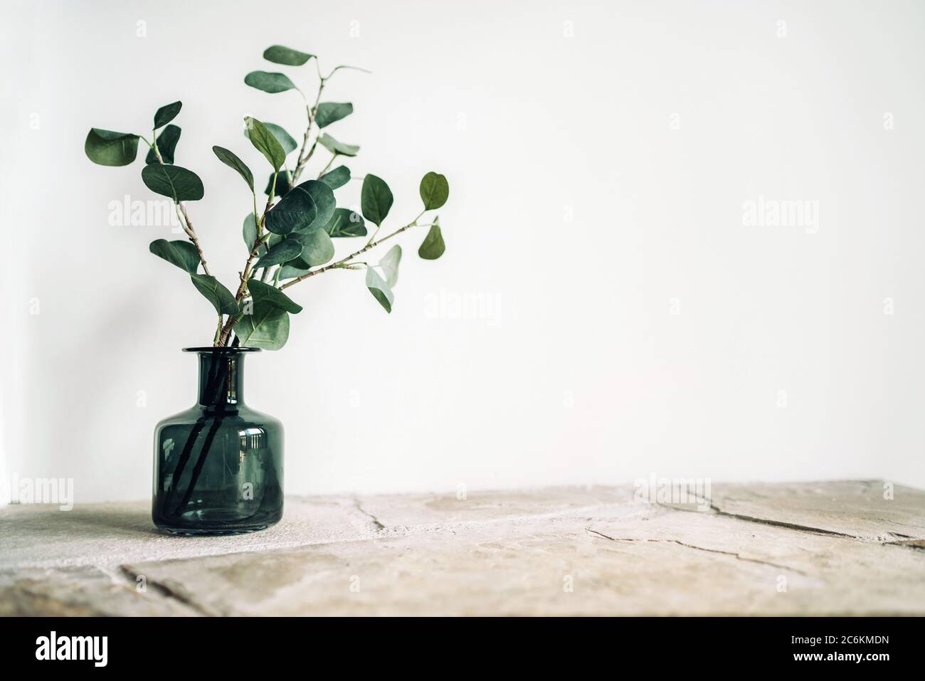 Green tree Branch putted into black glass vase on the natural stone ...
