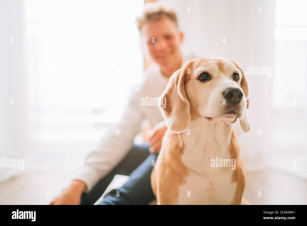 Beagle dog portrait with Sincerely laughing young man sitting on the ...