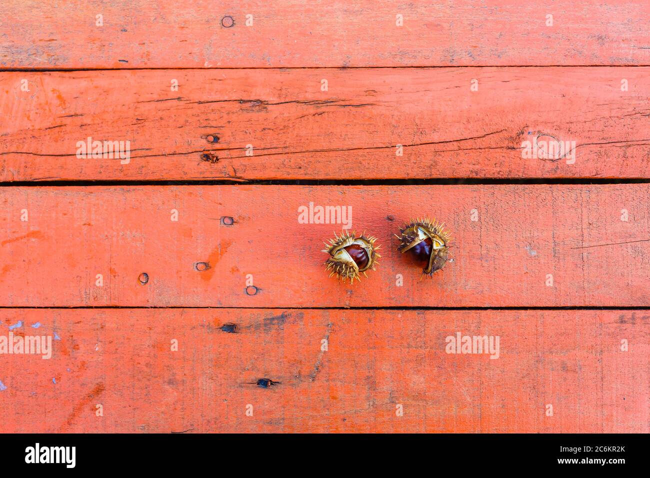 Bitter chestnut hi-res stock photography and images - Alamy