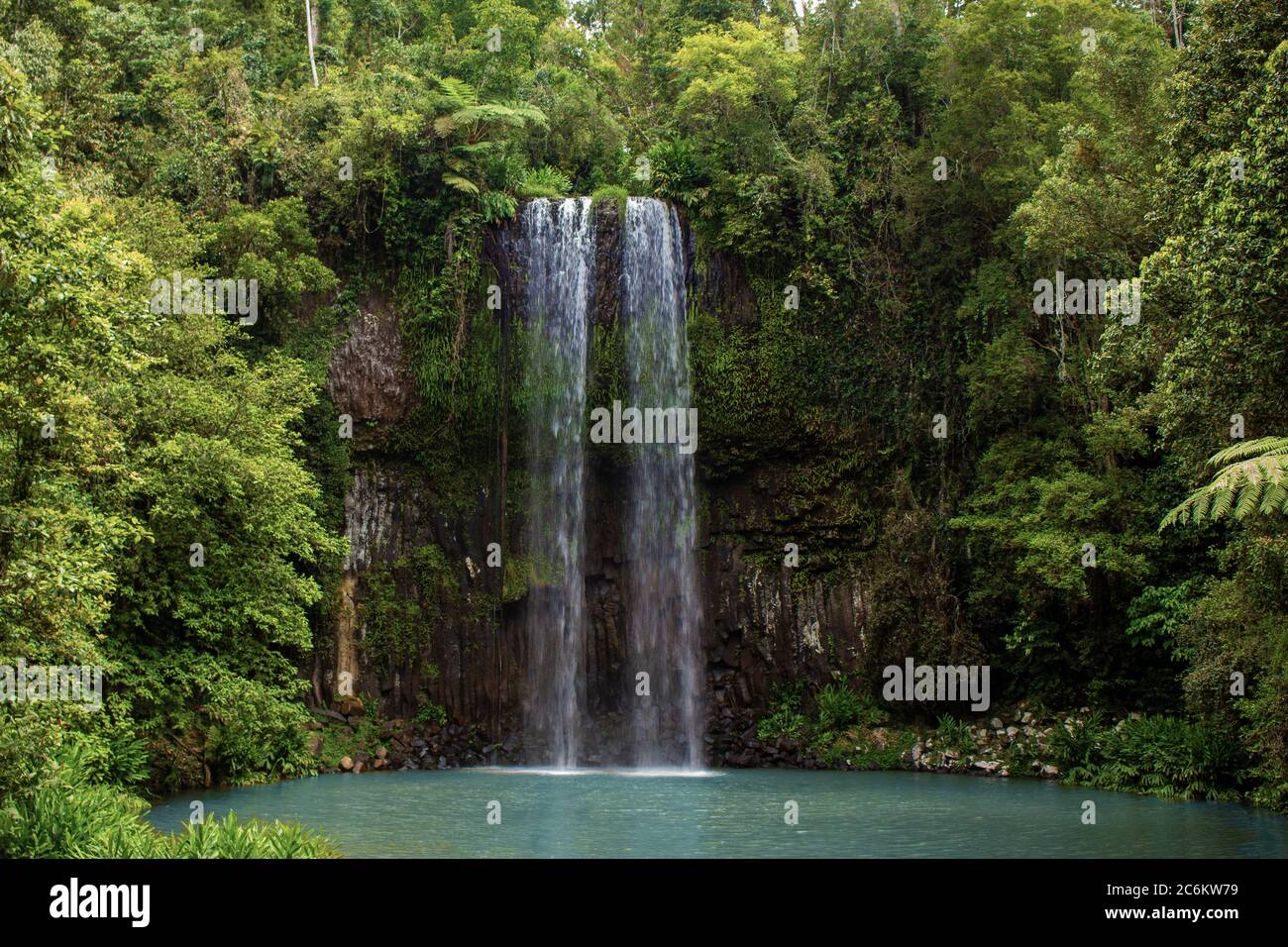 Millaa Millaa Falls features in the Waterfalls Circuit on the Atherton ...