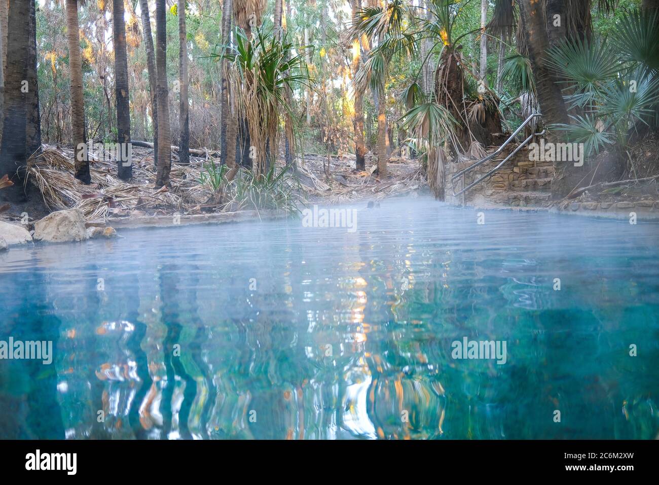 Mataranka thermal pool in the Elsey National Park, in the Northern ...