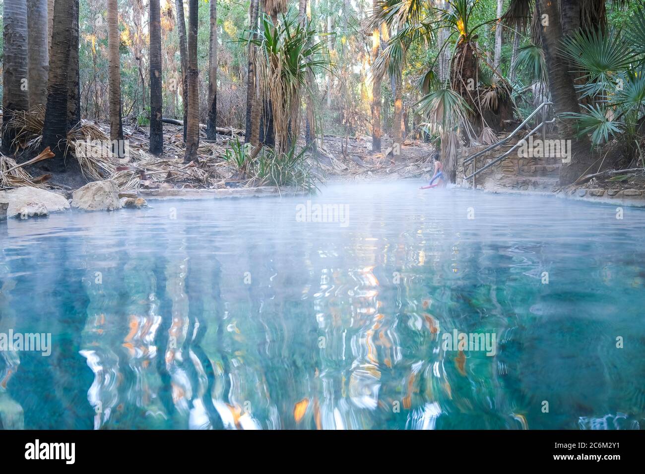 Mataranka thermal pool in the Elsey National Park, in the Northern ...