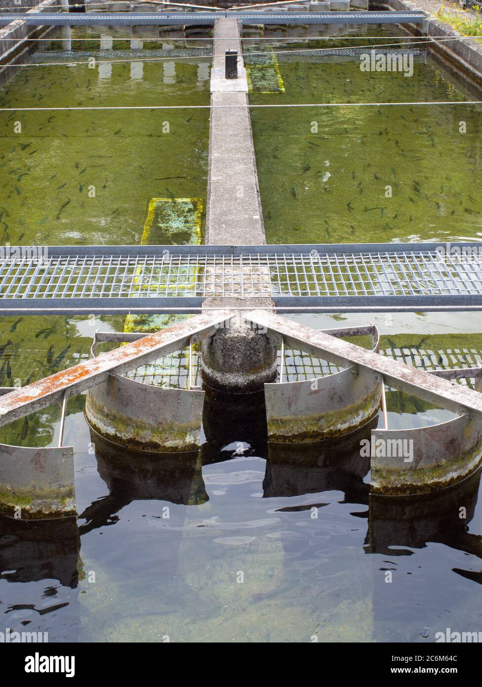 Wet farm hi-res stock photography and images - Alamy