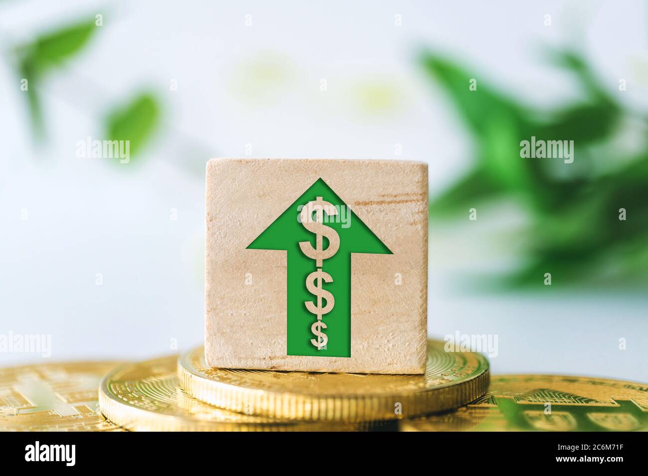Dollar sign show growth sign on wooden cube on top gold money coin with ...