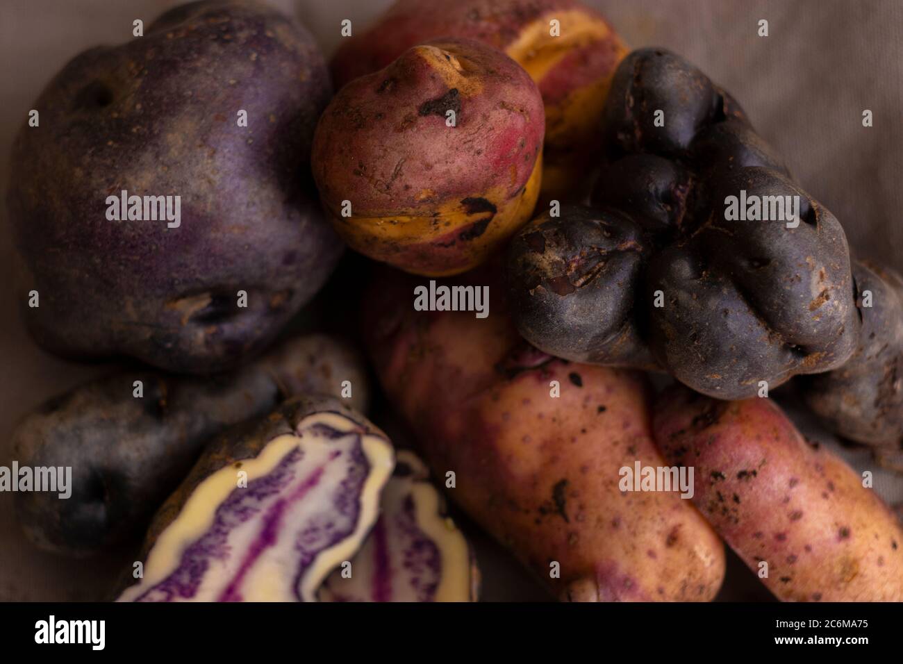 Native potato varieties peru hi-res stock photography and images - Alamy