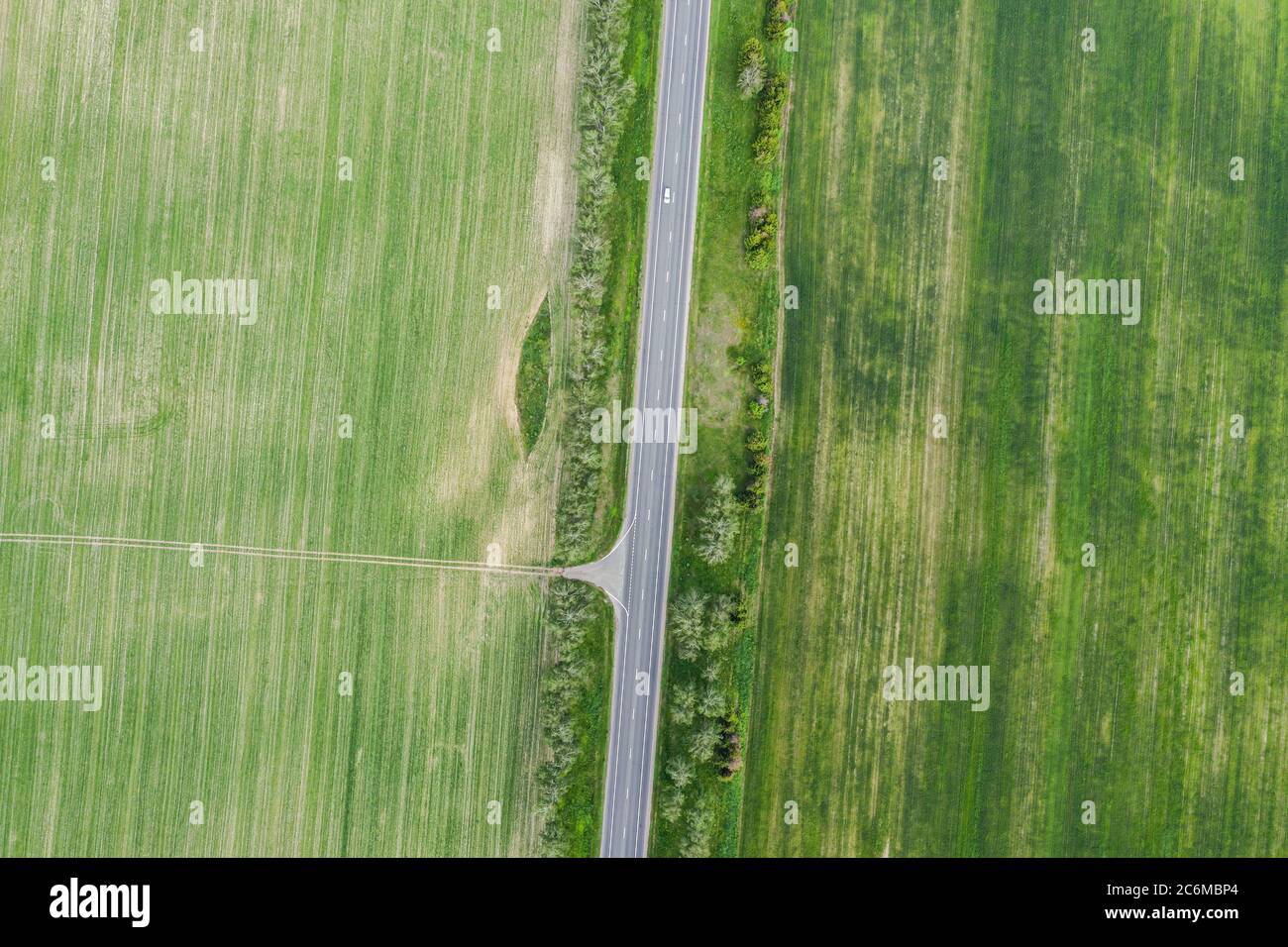 aerial view from above of country road through the green agricultural ...