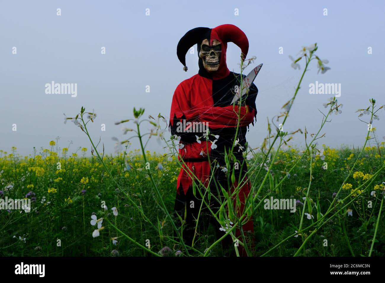 Halloween holiday . Evil harlequin in a field in the fog.A man in a ...