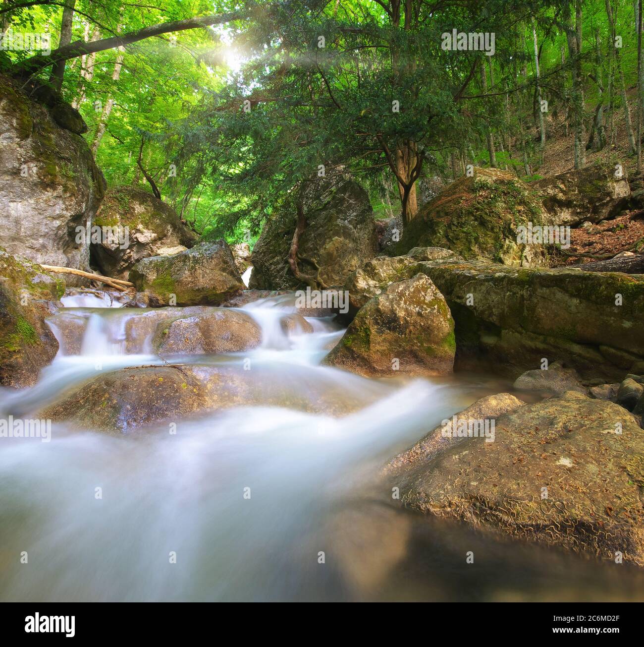 Spring rill flow. Nature composition Stock Photo - Alamy