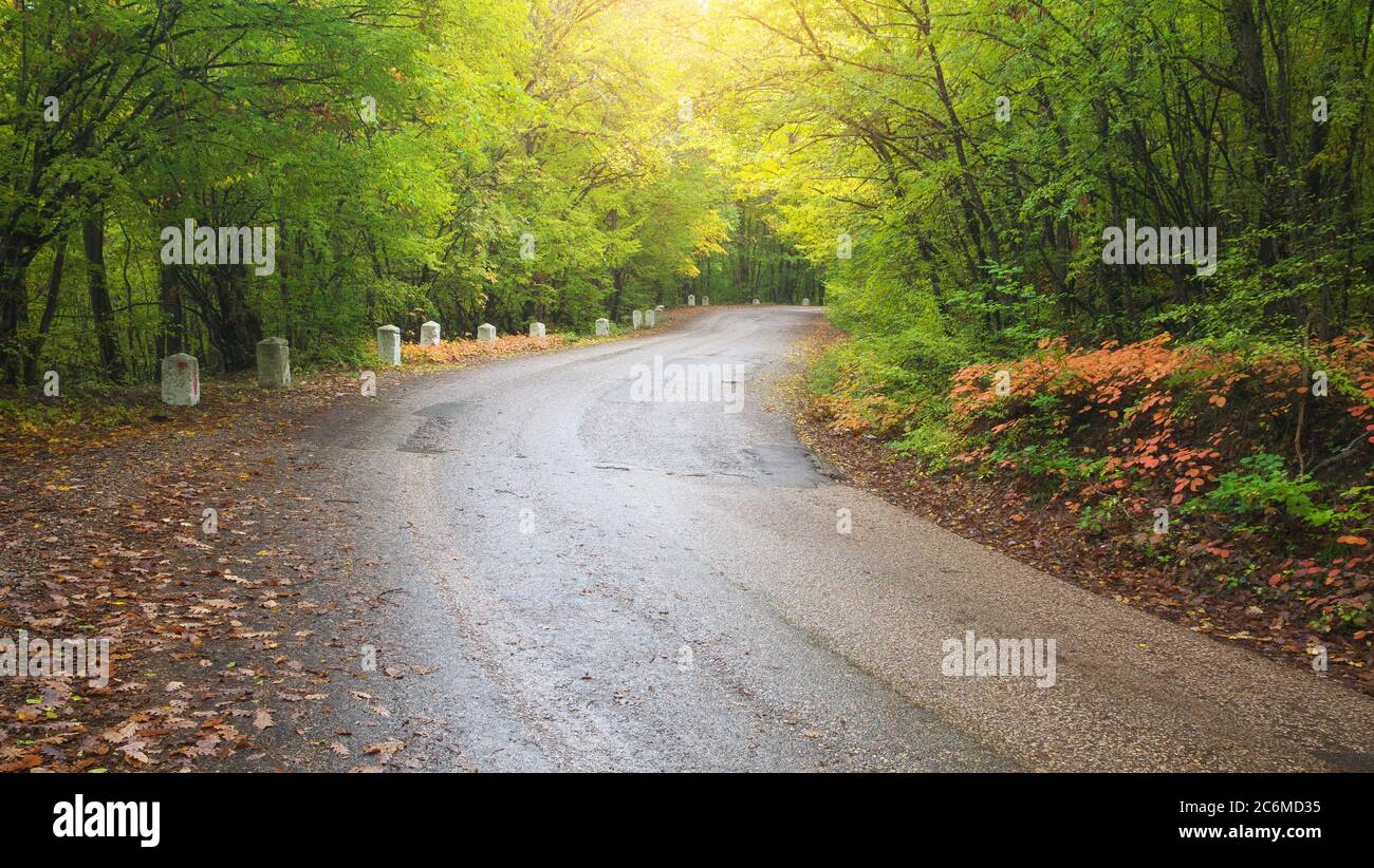 Road in autumn wood. Nature composition Stock Photo - Alamy