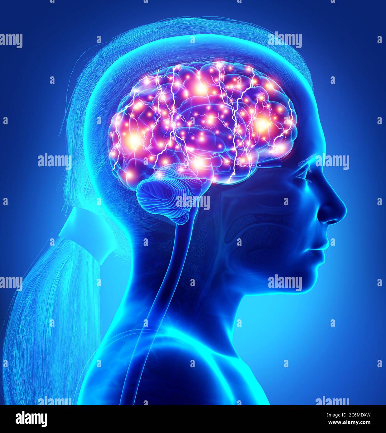 3d rendered, medically accurate illustration of a young girl active ...