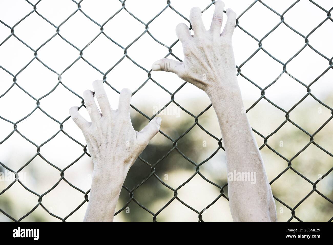 Bleached filtered image of Hands in desperate grip on mesh wired fence ...