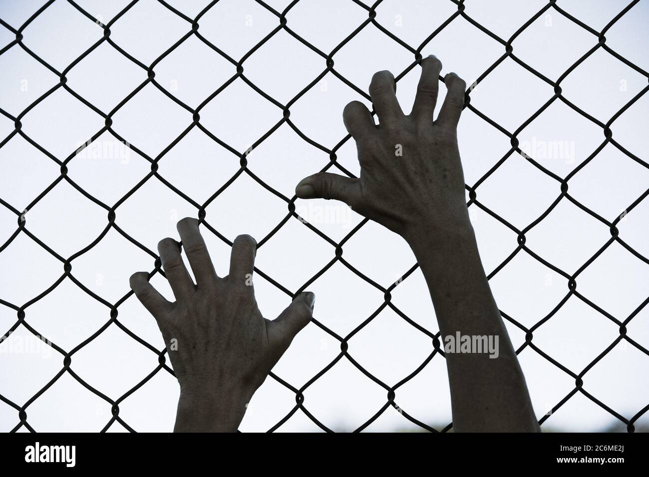 Bleached filtered image of Hands in desperate grip on mesh wired fence ...