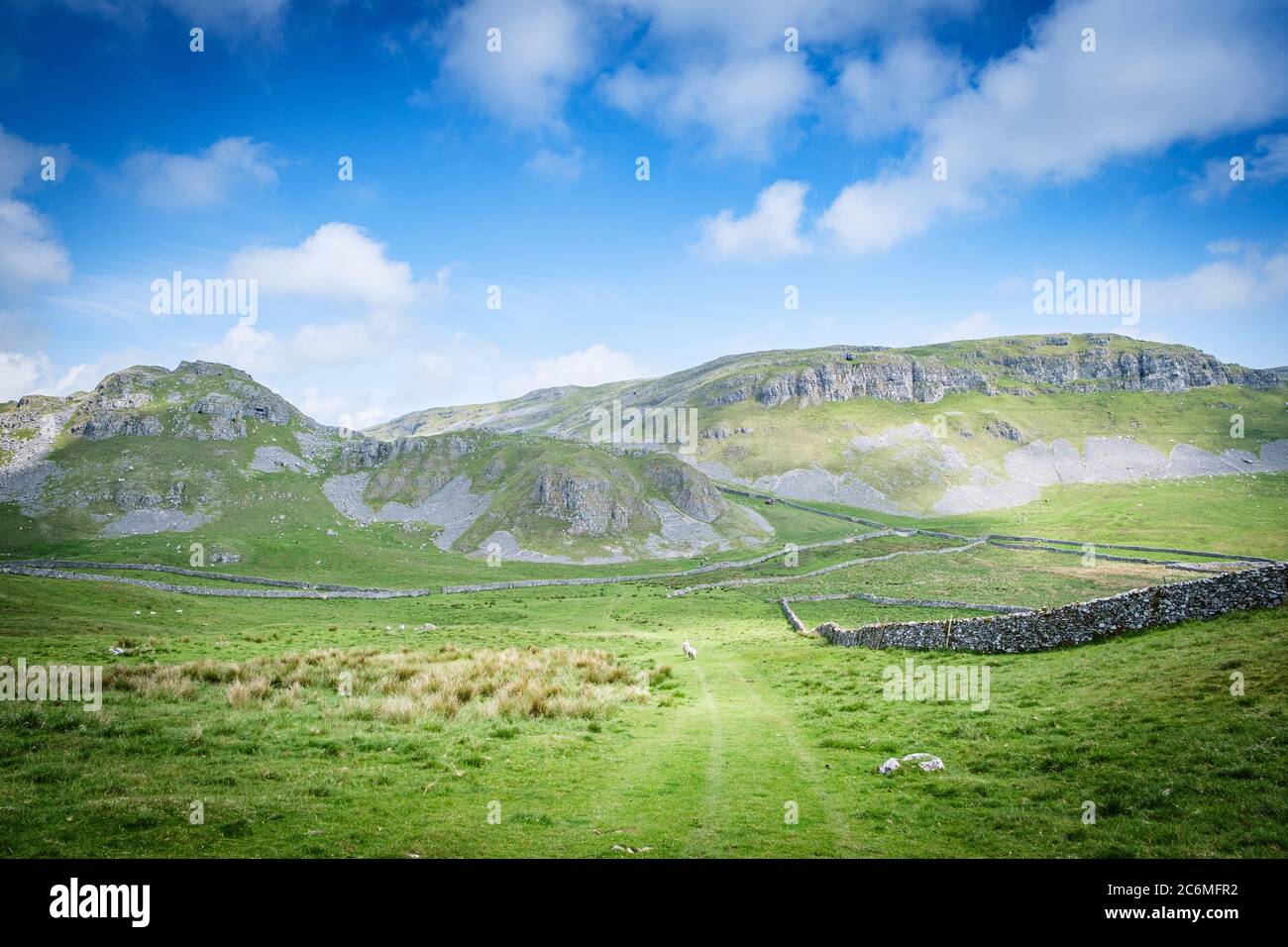 Attermire Scar near Settle, Yorkshire Dales, England , UK Stock Photo ...