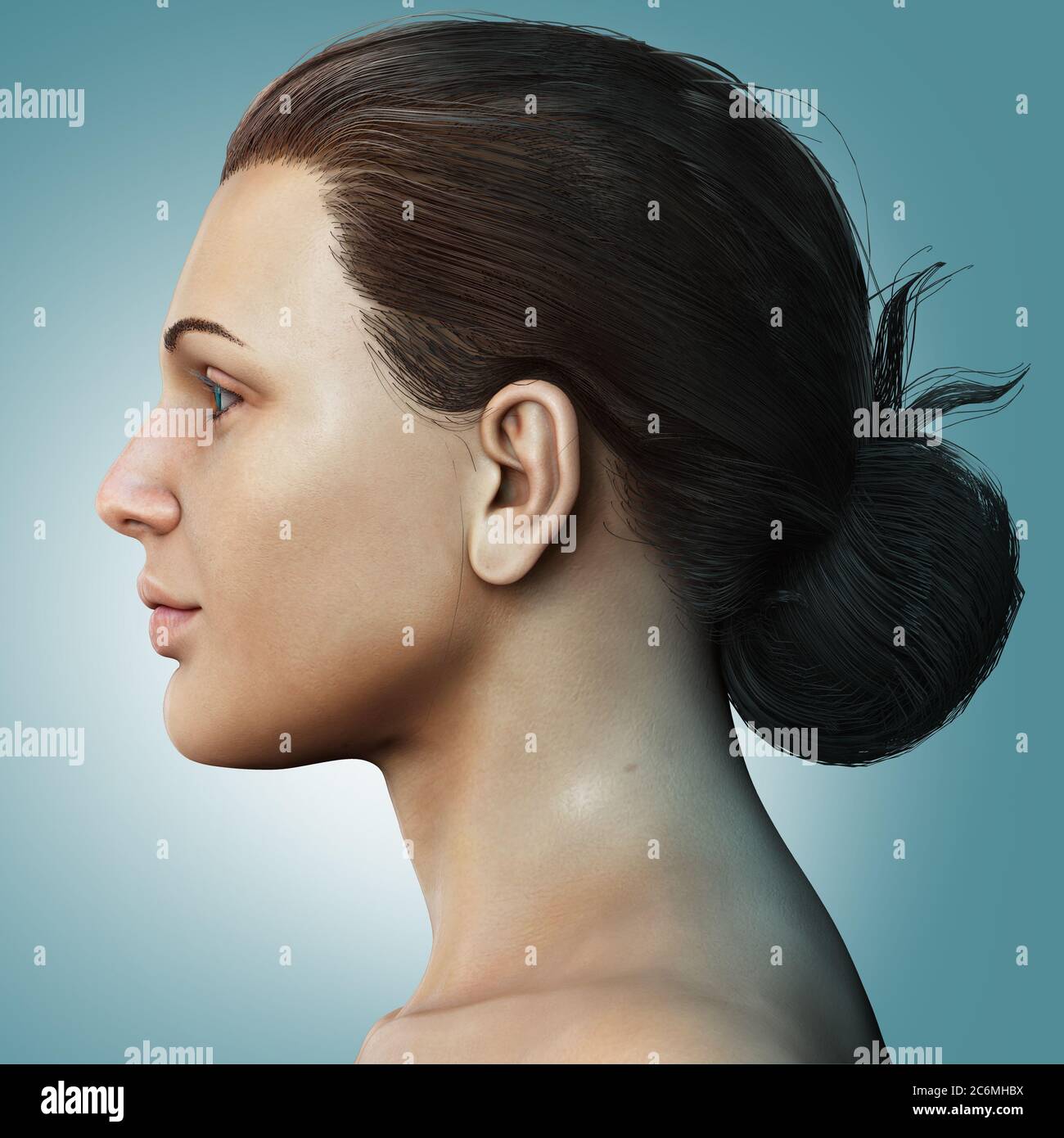 3d rendered medically accurate illustration of a female head anatomy ...