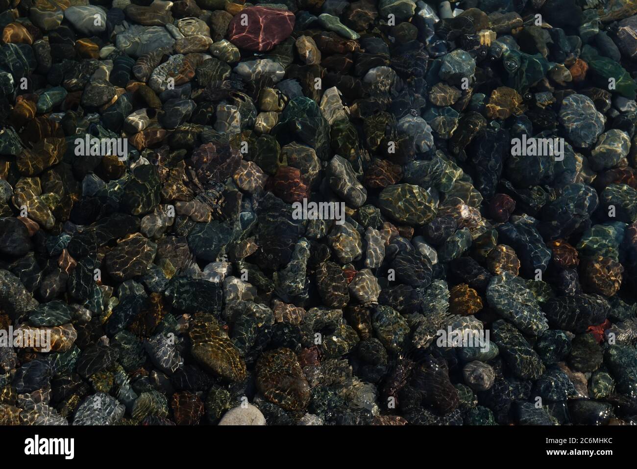 Sea pebbles under clear water near the shore with reflection of ...