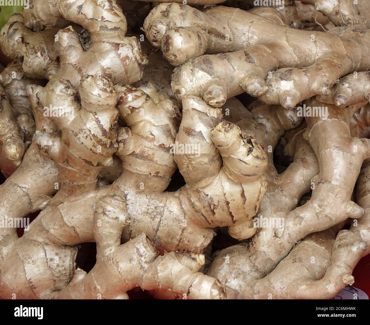 Fresh ginger roots hi-res stock photography and images - Alamy