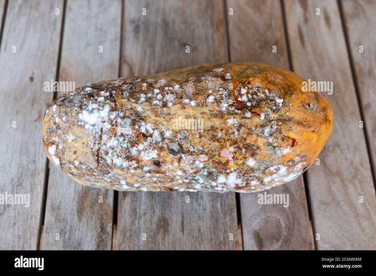 Rotten papaya hi-res stock photography and images - Alamy