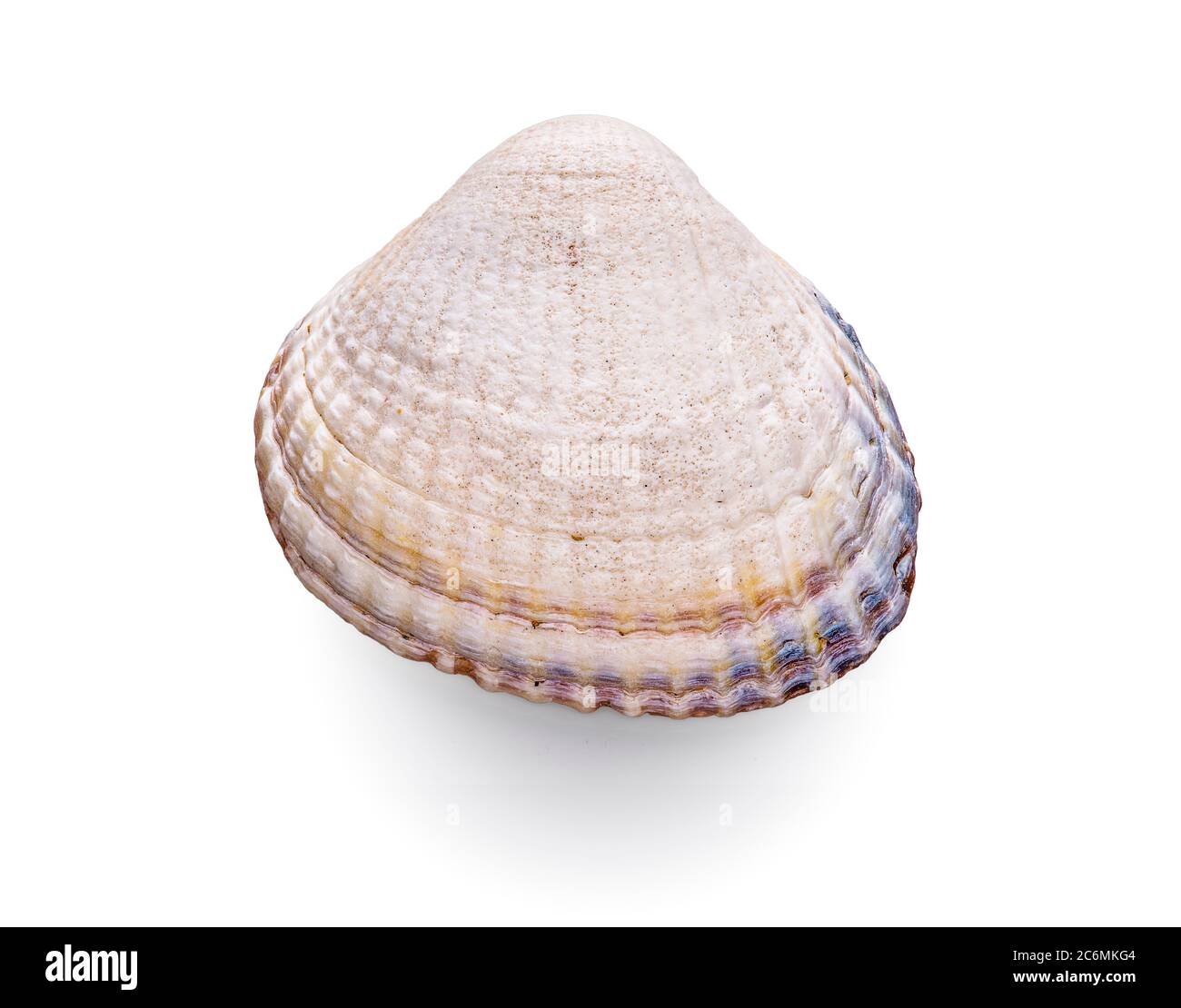 Maritime image Cut Out Stock Images & Pictures - Alamy