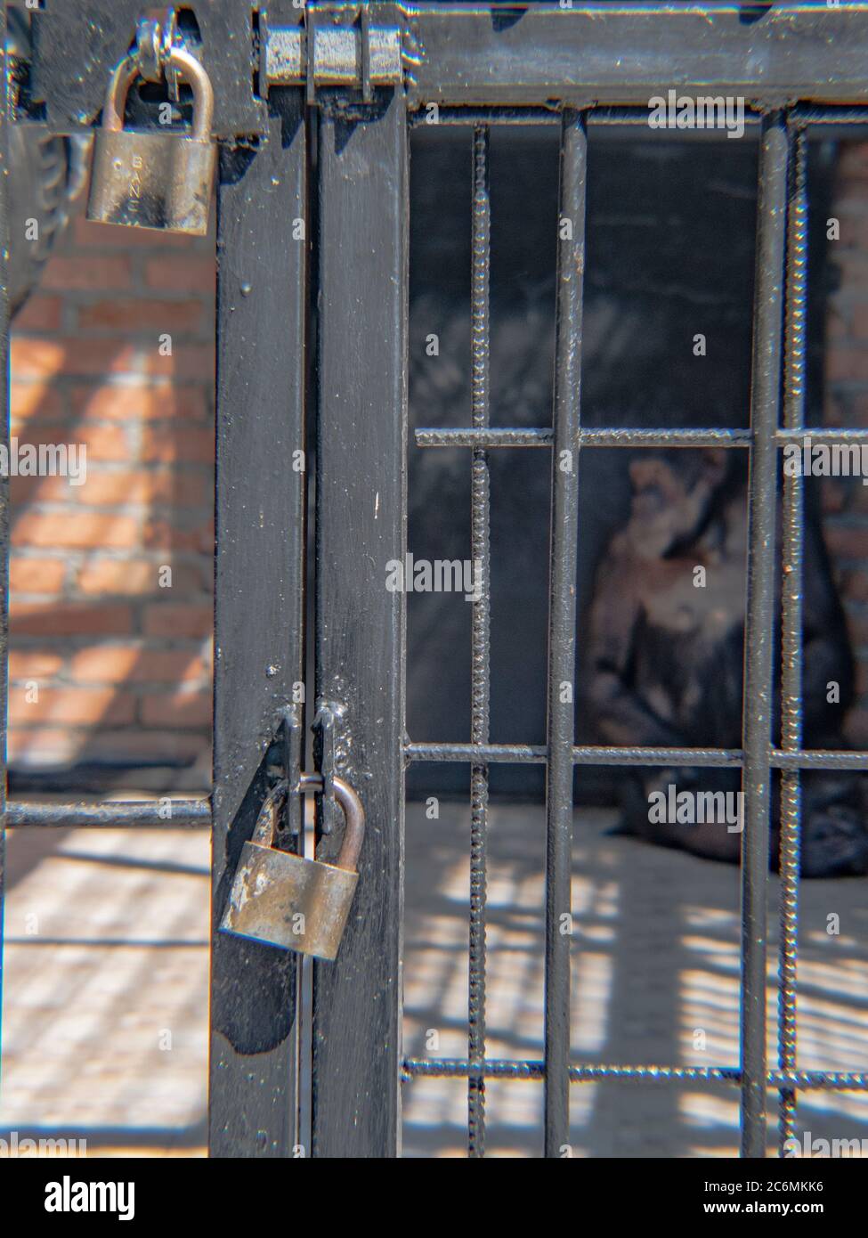 Padlocks cage hi-res stock photography and images - Alamy