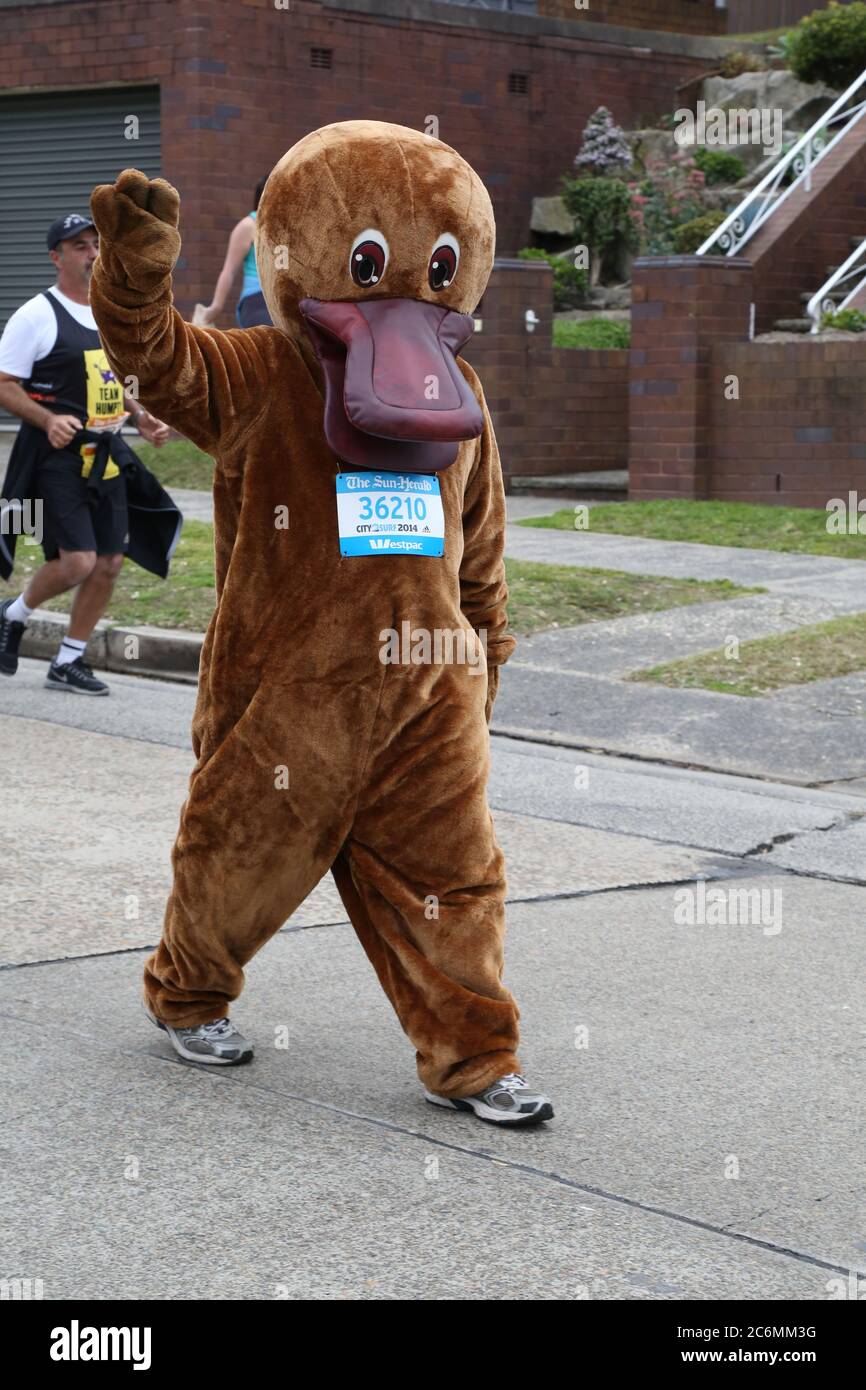 A runner dressed as a duck takes part in the City2Surf running race in ...