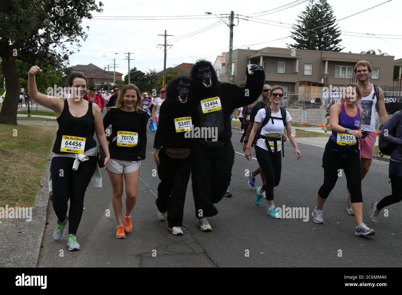 Gorilla running hi-res stock photography and images - Alamy