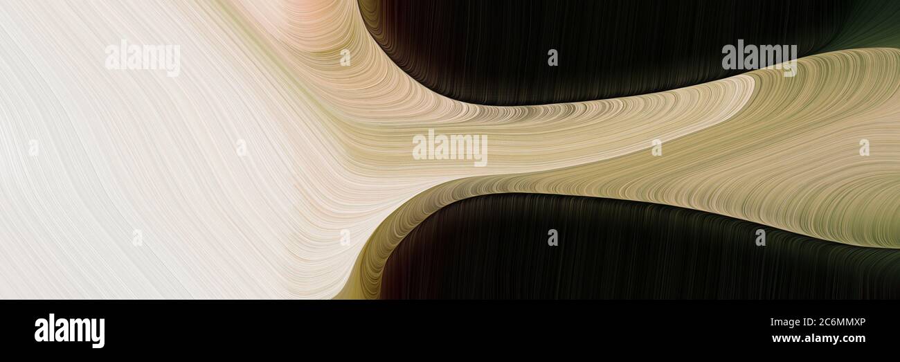 dynamic decorative curves background with black, light gray and dark ...