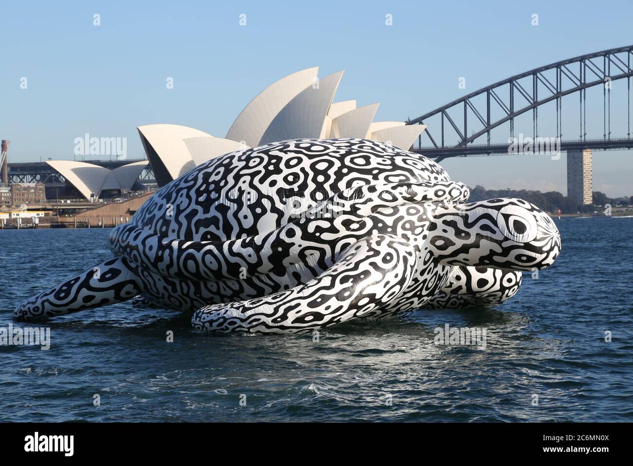 The giant 15m floating sea turtle sculpture on Sydney Harbour viewed ...