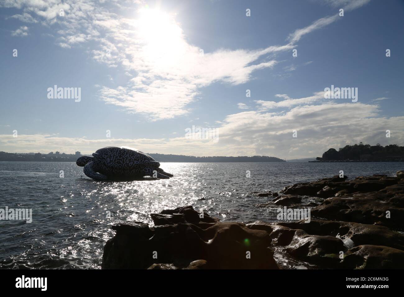 The giant 15m floating sea turtle sculpture moves around the surface of ...