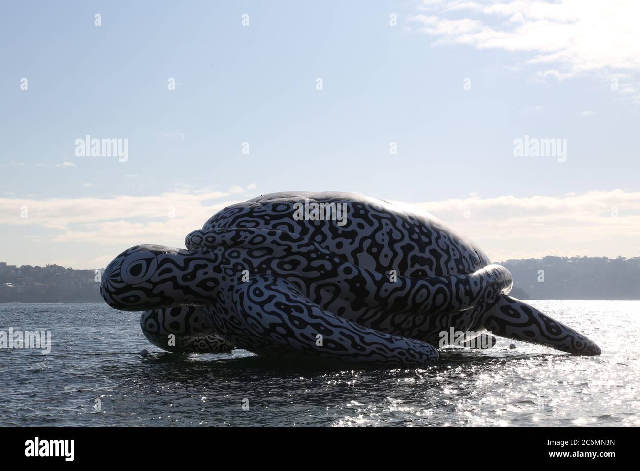 Sea turtle sculpture hi-res stock photography and images - Alamy