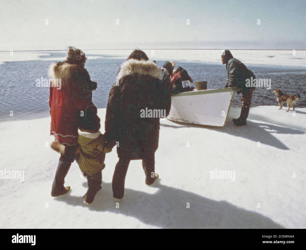 6/18/1973 Eskimo family traveling through open spring ice leads of ...