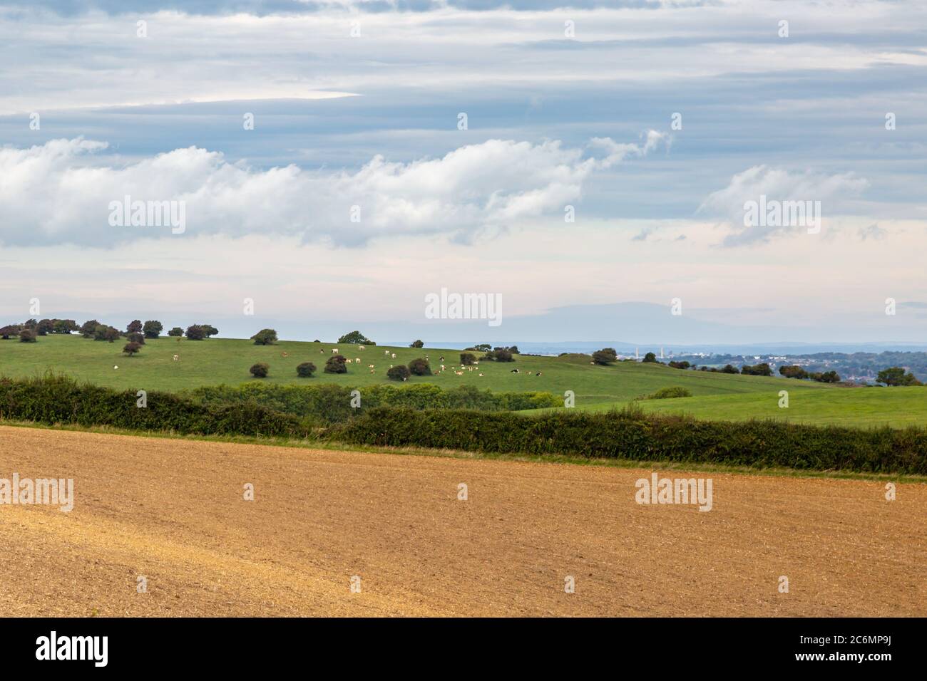 Isle of wight brading down hi-res stock photography and images - Alamy