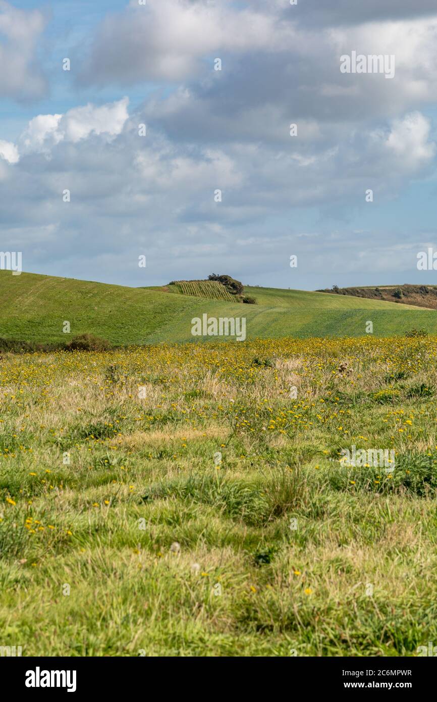 Countryside on the Isle of Wight on a sunny late summer's day Stock ...