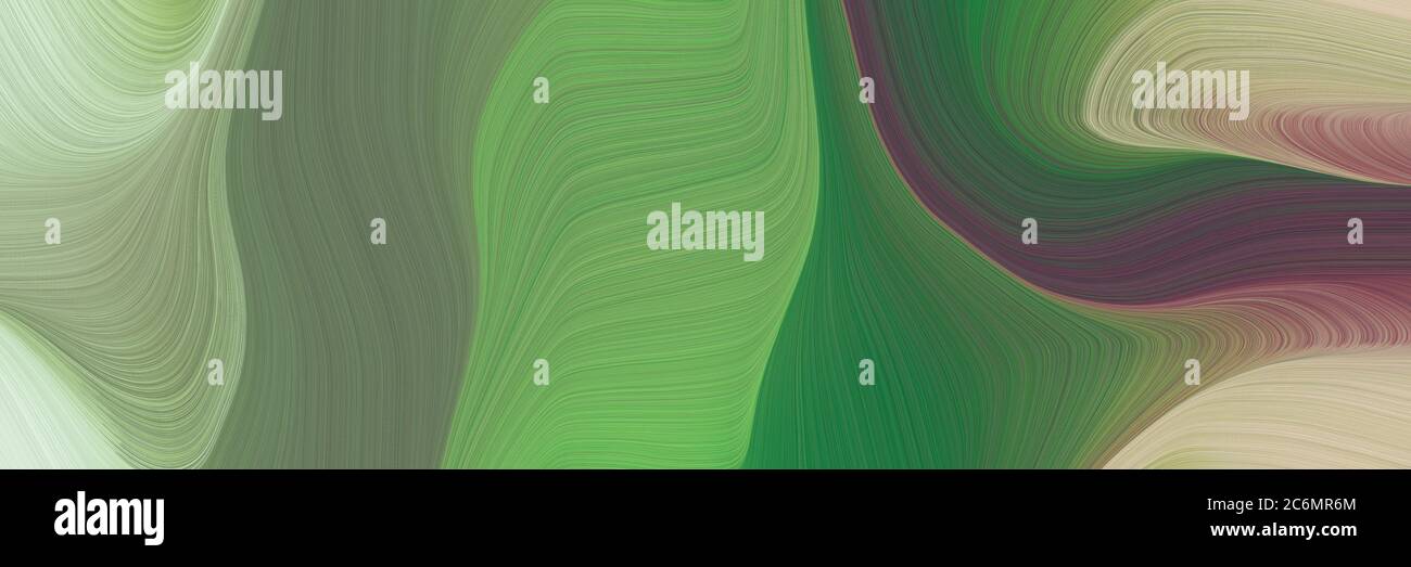 modern colorful curves banner design with dim gray, ash gray and sea ...