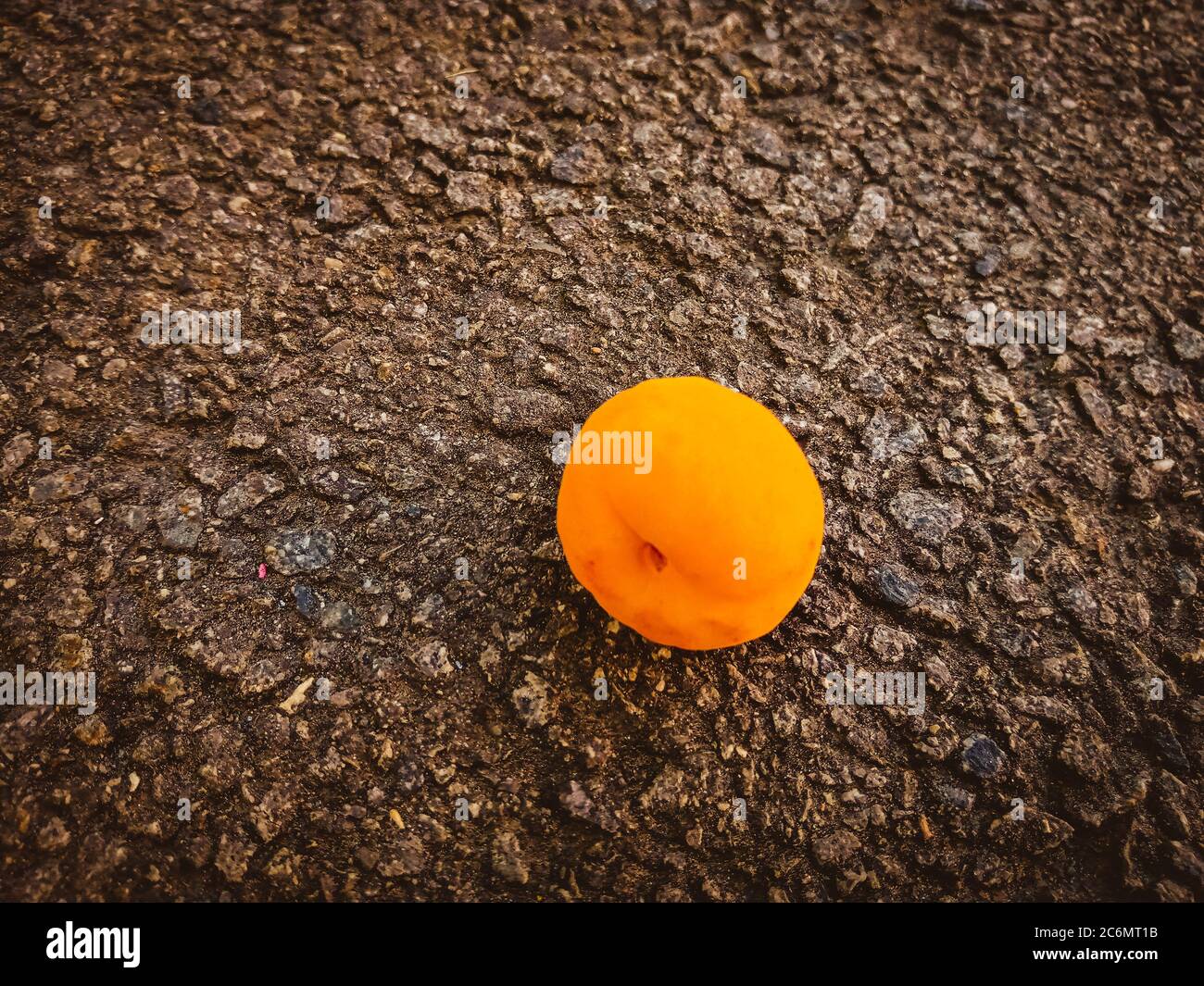 Apricot shell hi-res stock photography and images - Alamy