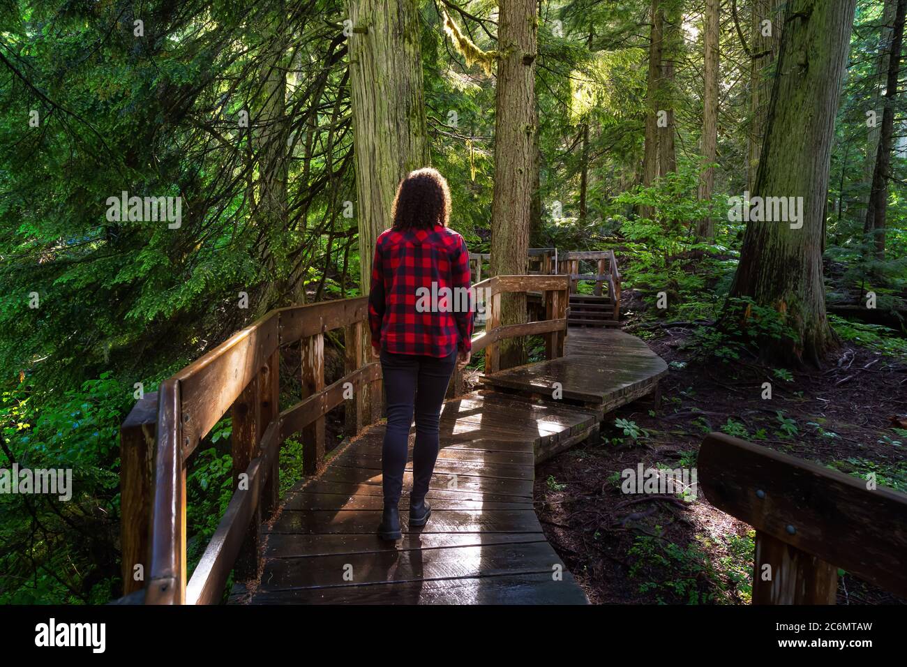 Girl Hiking in Rain Forest Stock Photo - Alamy