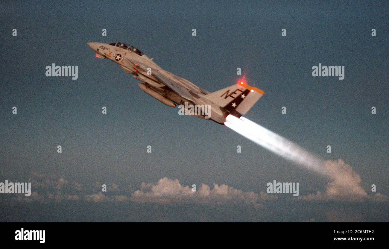 A left side view of a Fighter Squadron 2 (VF-2) F-14A Tomcat aircraft ...