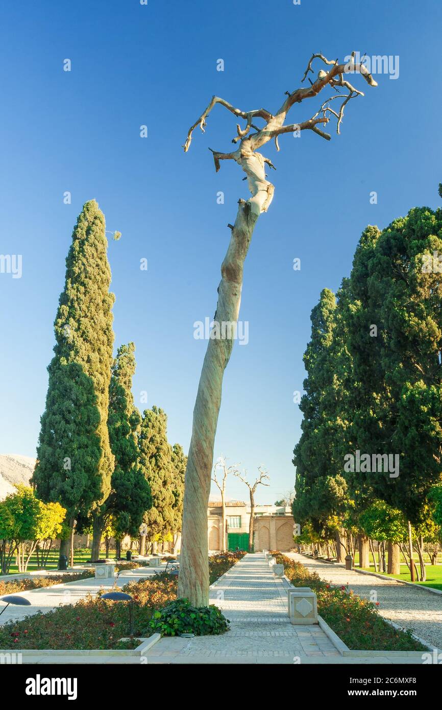 Old tree in Jahan-nama garden in the centre of city Shiraz, central ...