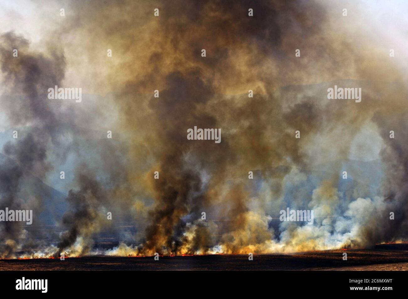 Parts of a wildfire hi-res stock photography and images - Alamy
