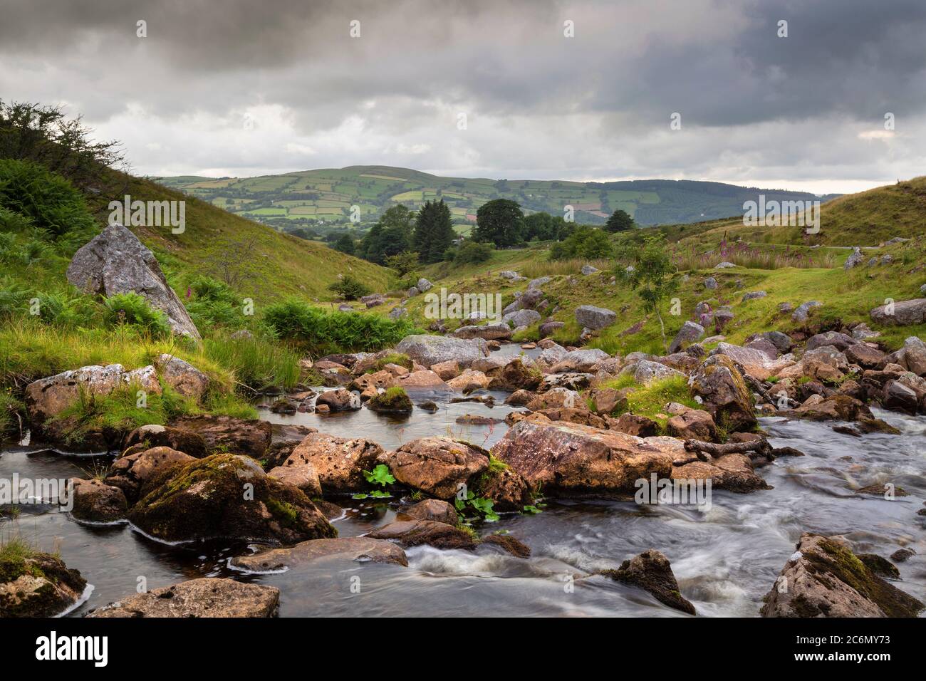 The Afon Clydach river in Wales Stock Photo - Alamy