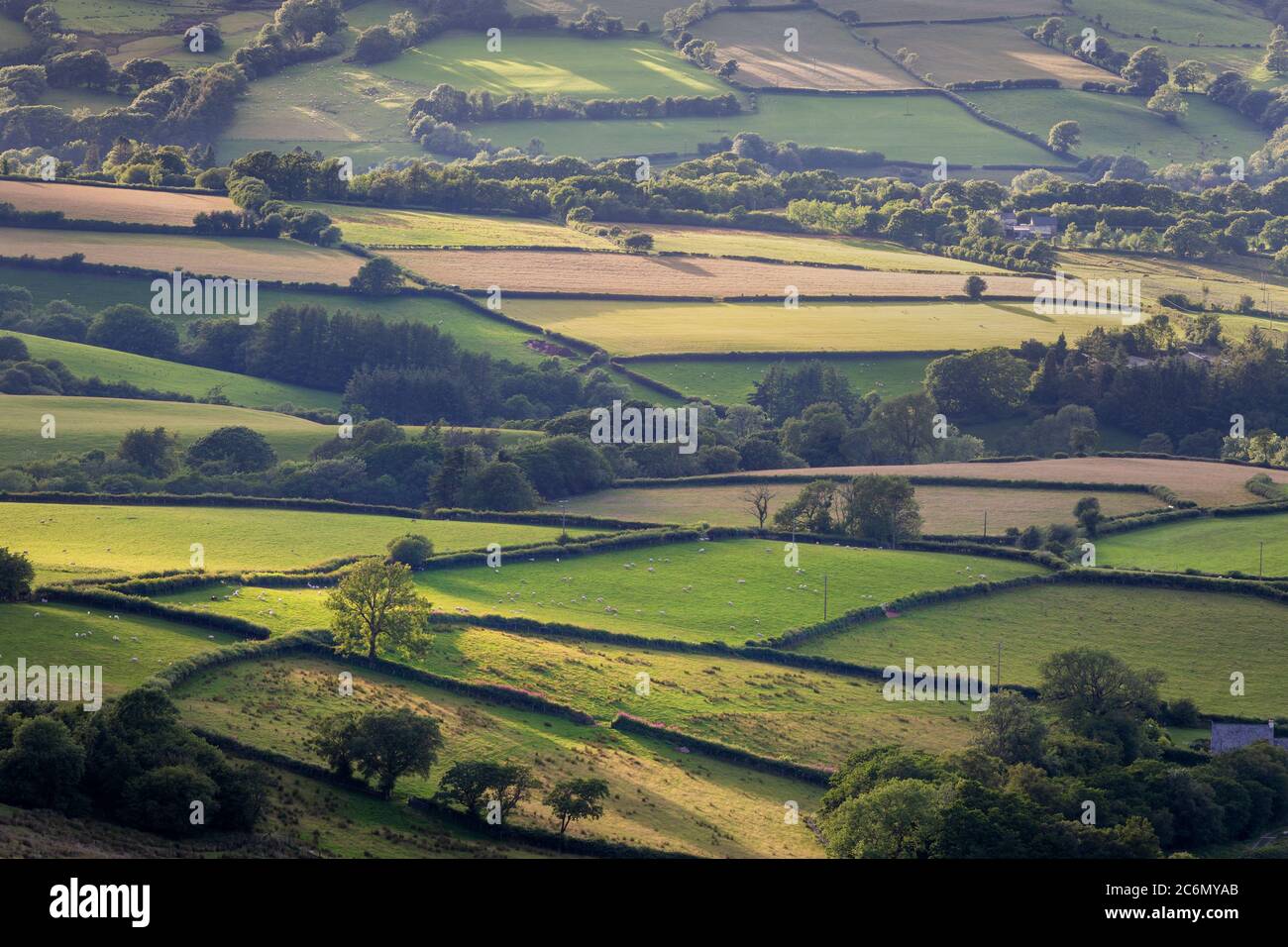 Fields and farmland of South Wales Stock Photo - Alamy