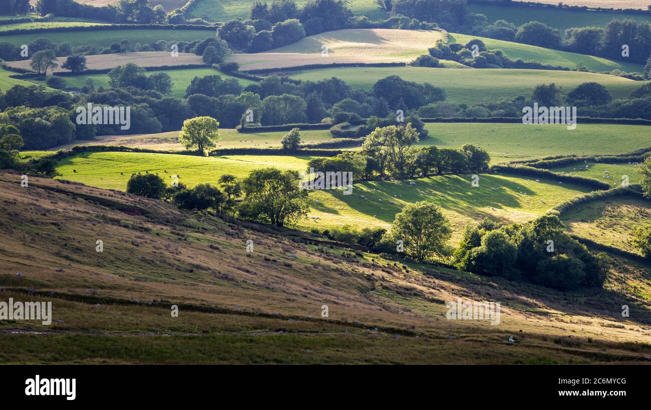 Fields and farmland of South Wales Stock Photo - Alamy