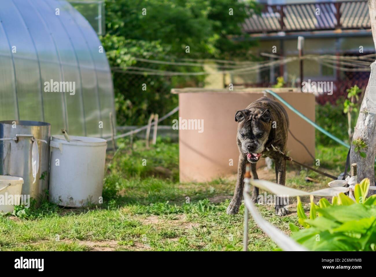 Old german guard house hi-res stock photography and images - Alamy