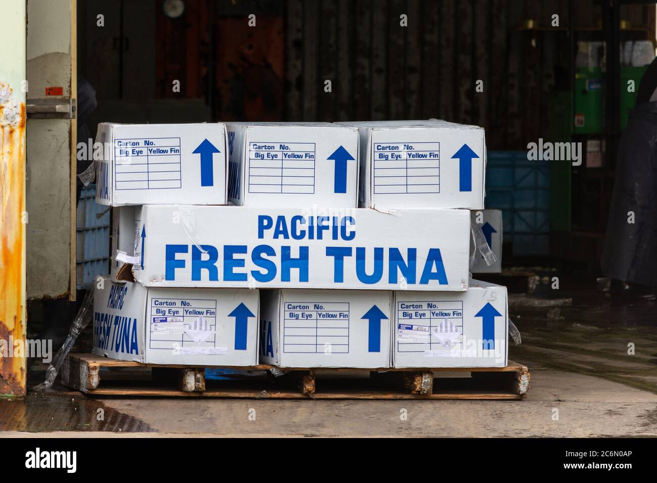 Osaka / Japan - September 28, 2017: Boxes of Pacific fresh tuna in a ...