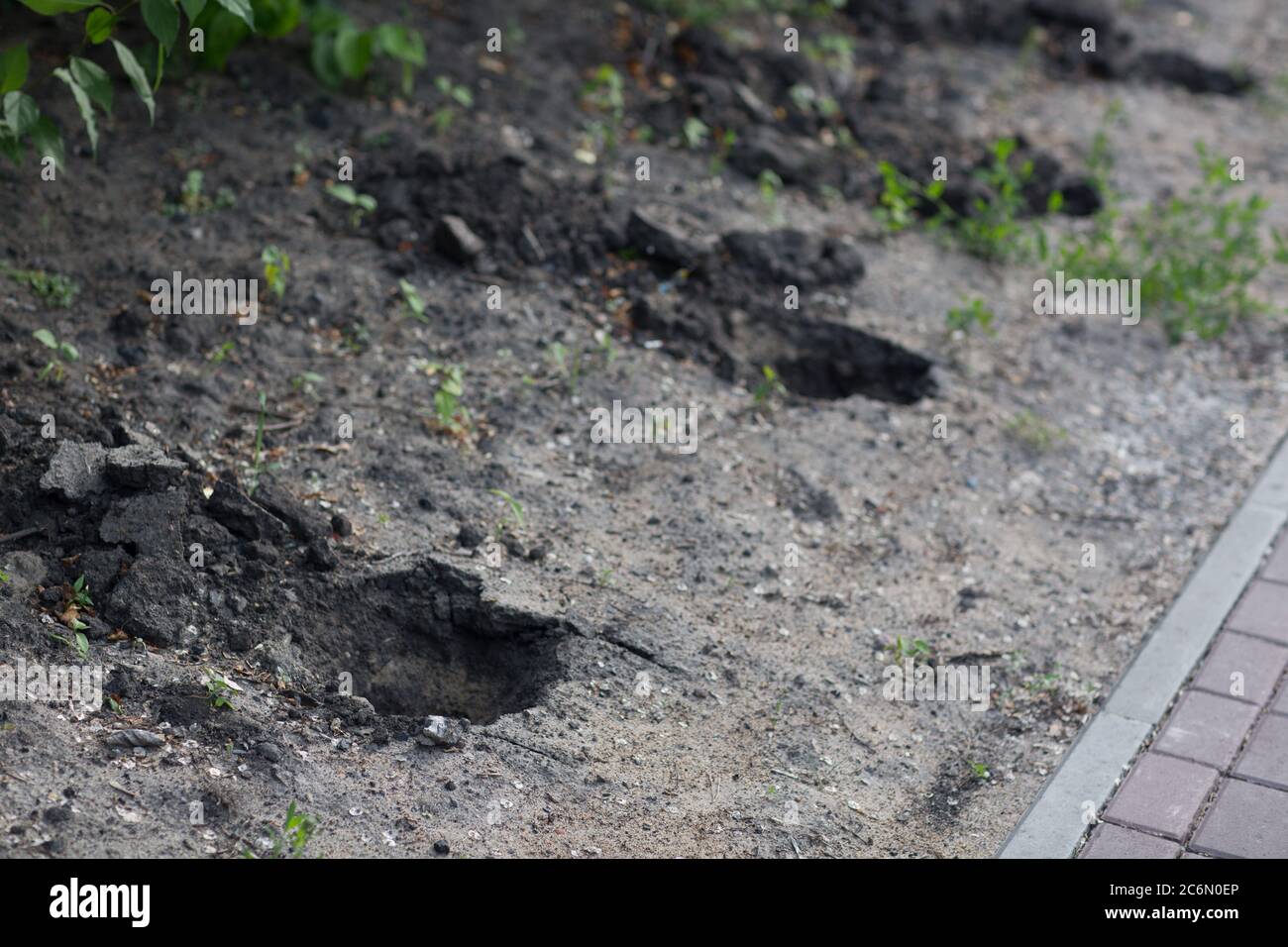 Planting tree in the ground. Hole and plant seedlings trees Stock Photo ...