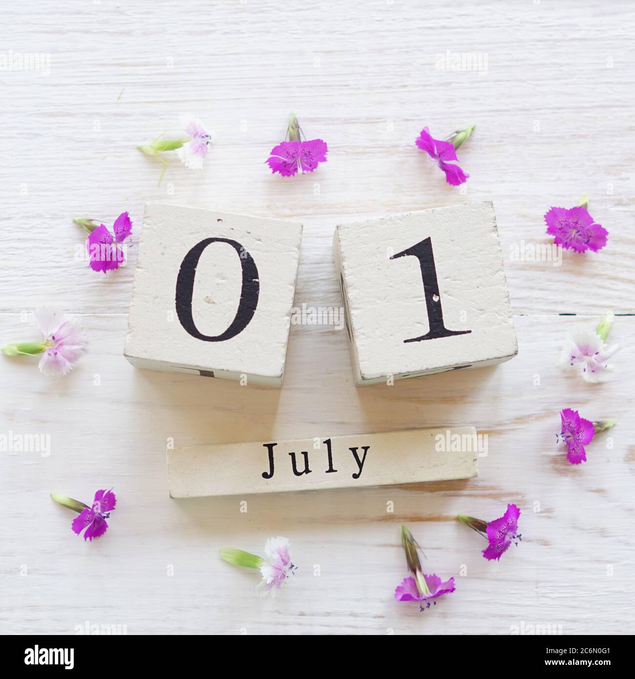 1 July, colorful background with cube wooden calendar and pink flowers ...