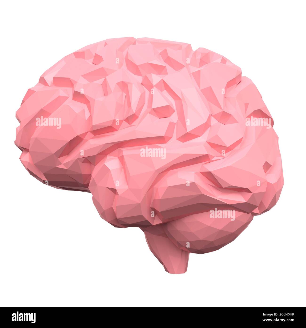Low poly pink human brain isolated on white background. Side view. 3d ...