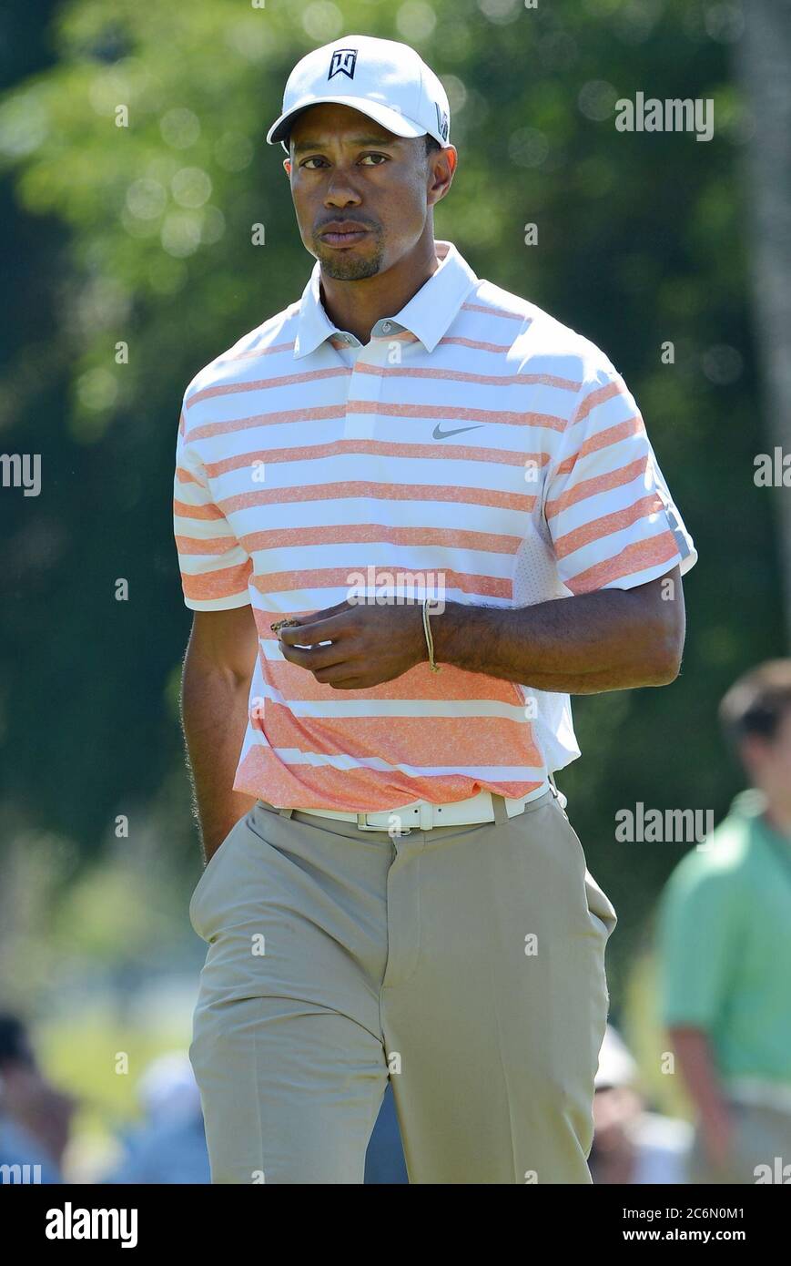 Rory tiger hi-res stock photography and images - Alamy